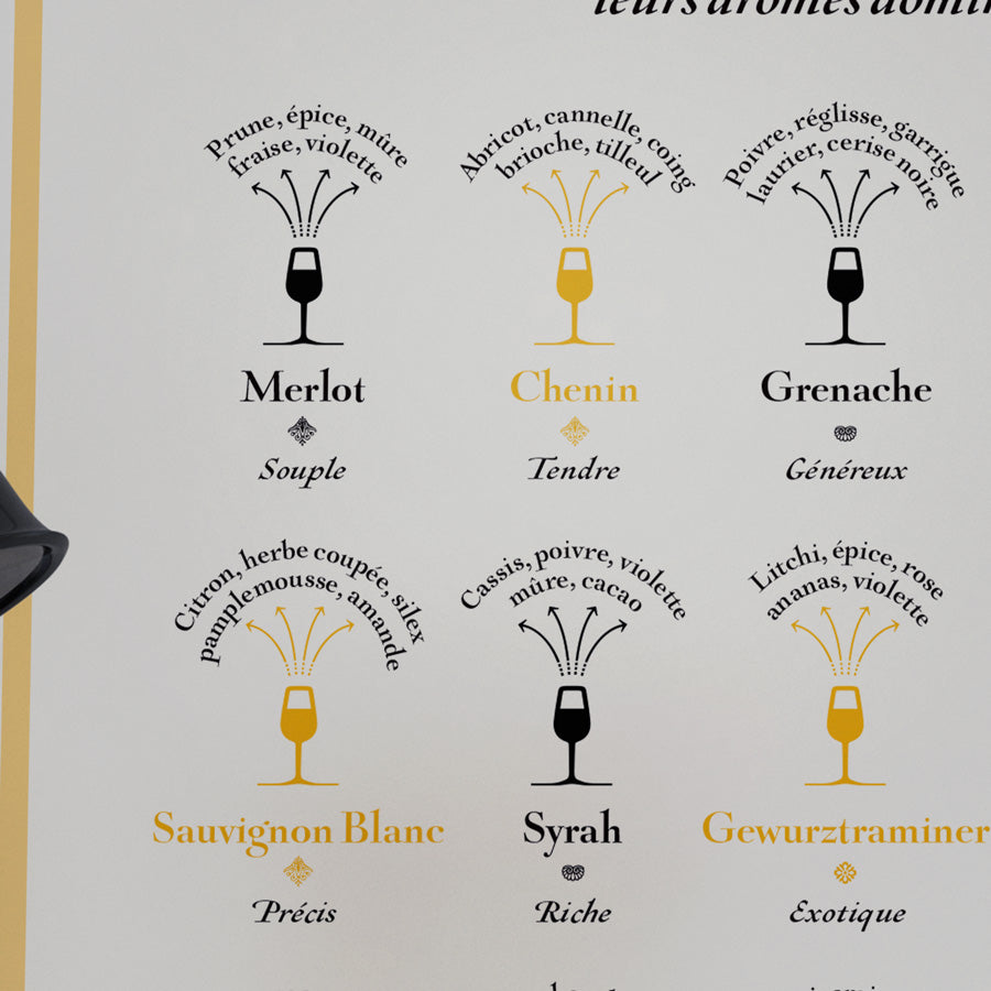 Les Cépages et leurs arômes dominants – La Carte des Vins s'il vous plaît