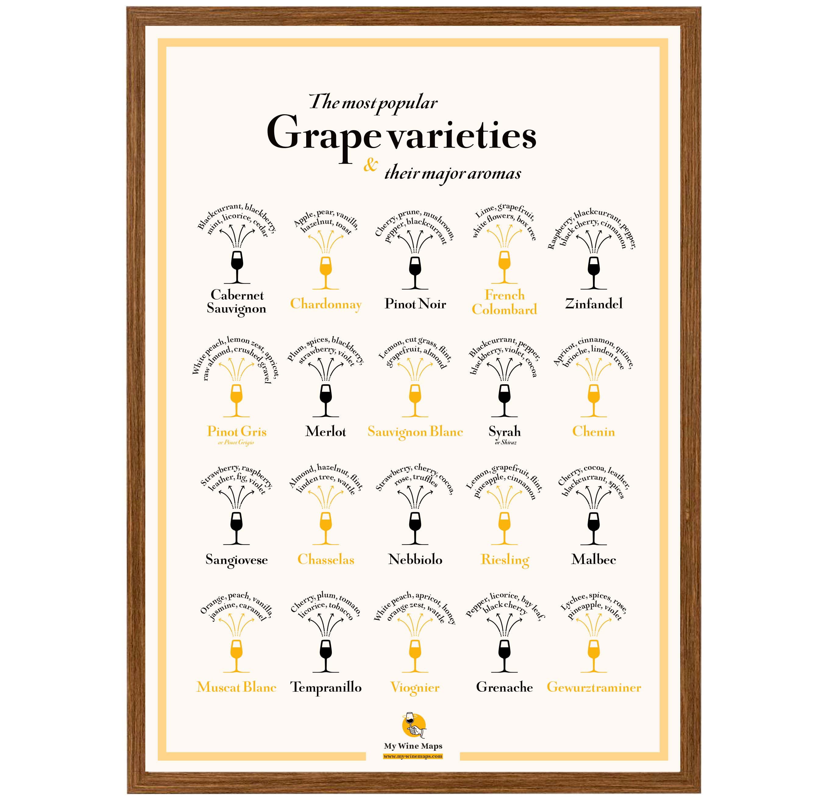 Grape Varieties & their major aromas – La Carte des Vins s'il vous plaît