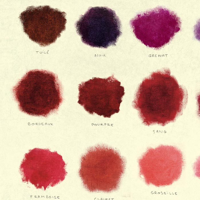 Les Robes du Vin – La Carte des Vins s'il vous plaît